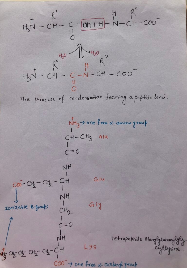 Peptides and proteins with their distinguishing properties - Discover ...