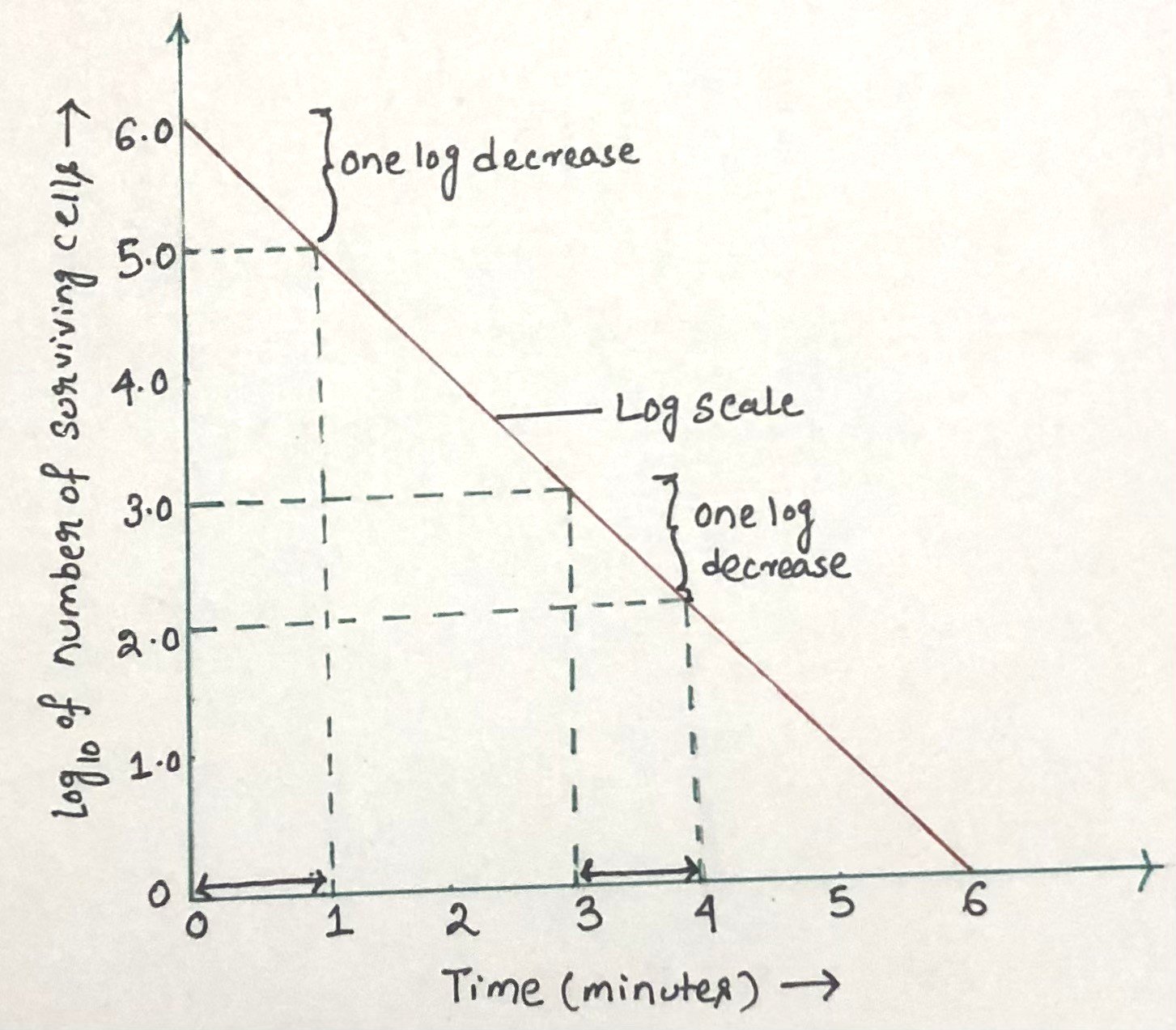 Temperature Controls Microbial Growth Discover Biotech
