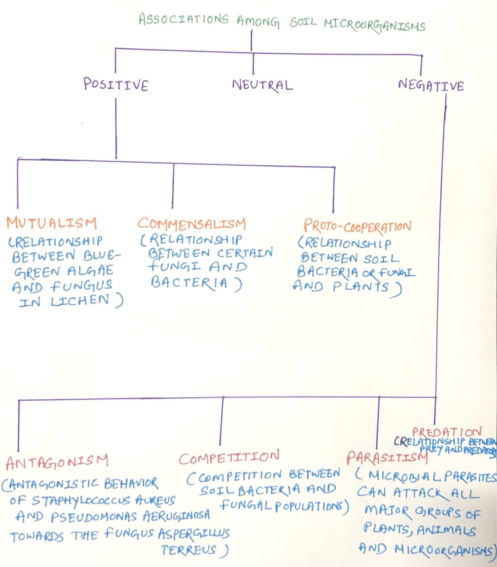 Types of Associations Among Soil Microorganisms - Discover Biotech