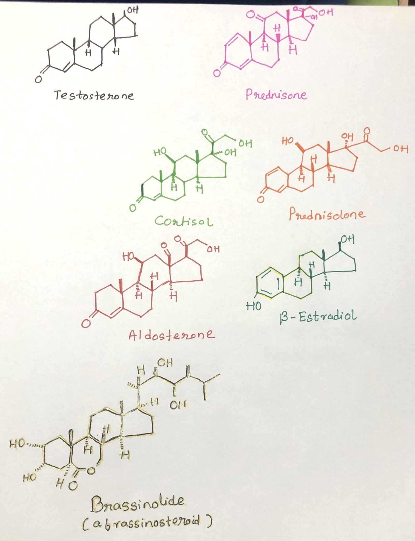 Eicosanoids and Steroid Hormones Carry Messages to Cells and Tissues ...