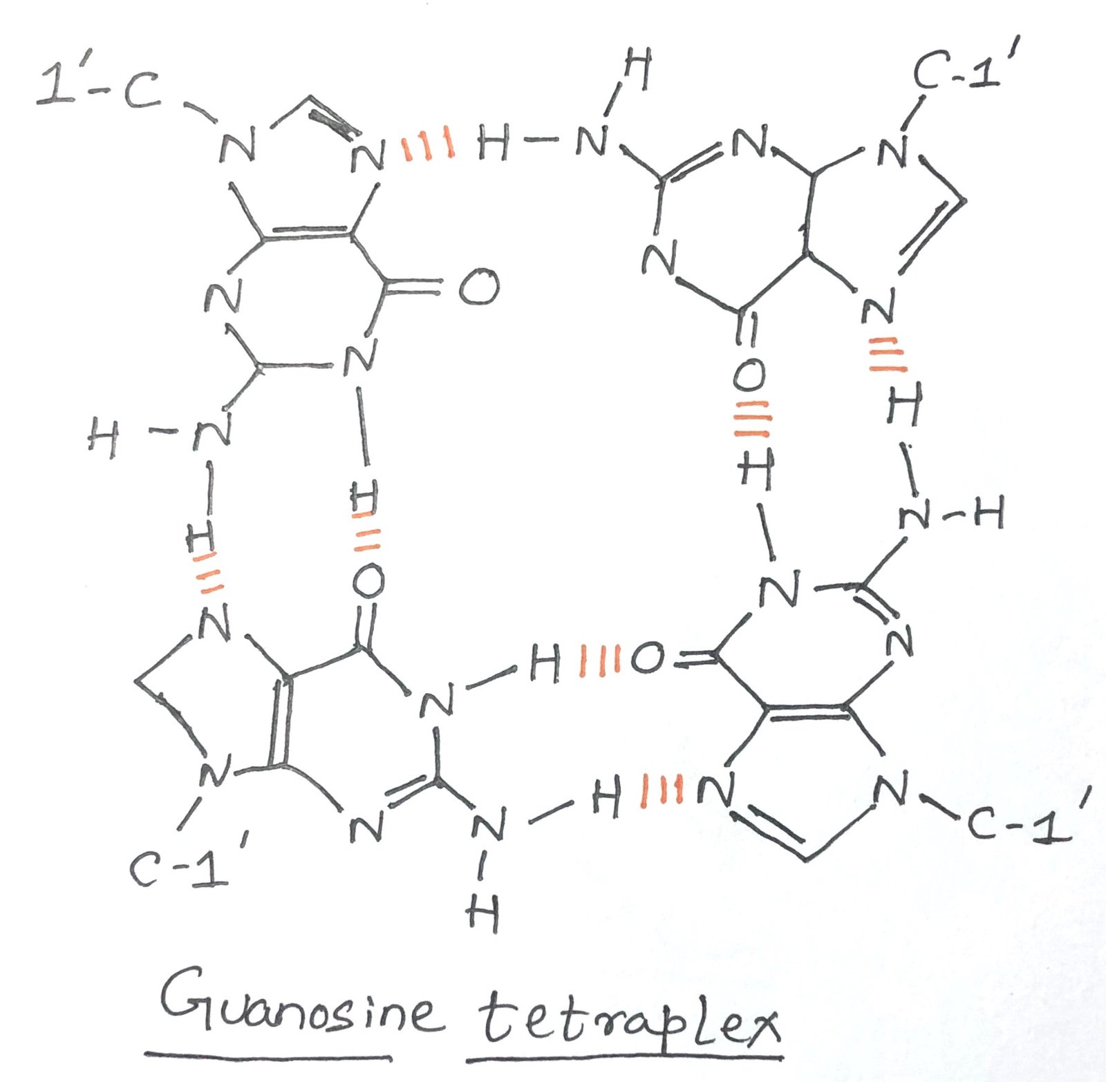 DNA Beyond the Double Helix: Structural Variants and Unusual Sequences ...